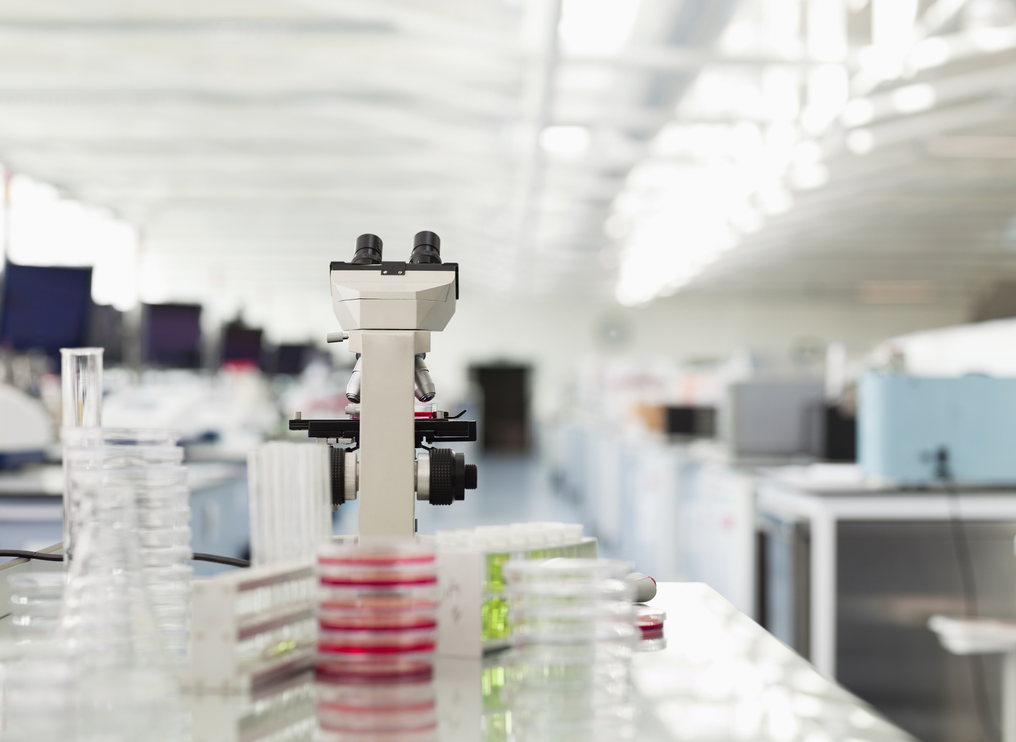 Pfizer's Latest Immunotherapy Deal Could Be Great News for This Tiny ...