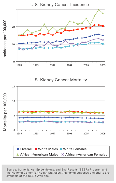 Tackling Cancer: Kidney Cancer's Biggest Current and Upcoming Players ...