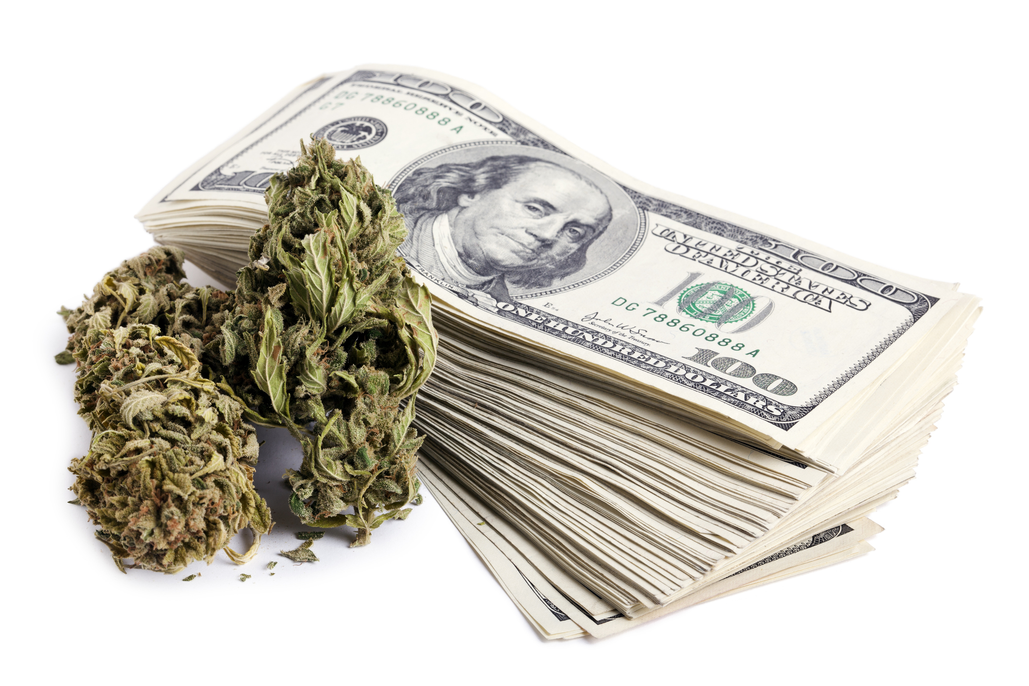 Can These 3 Pummeled Pot Stocks Recover? | The Motley Fool