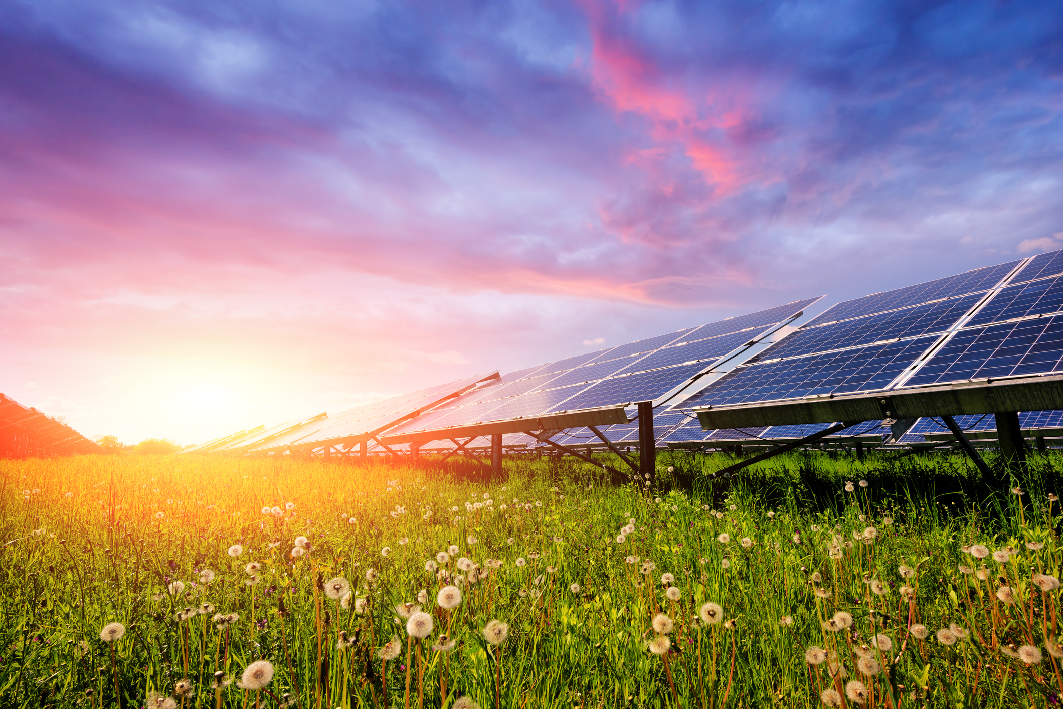 Why I Just Bought This Solar Stock The Motley Fool