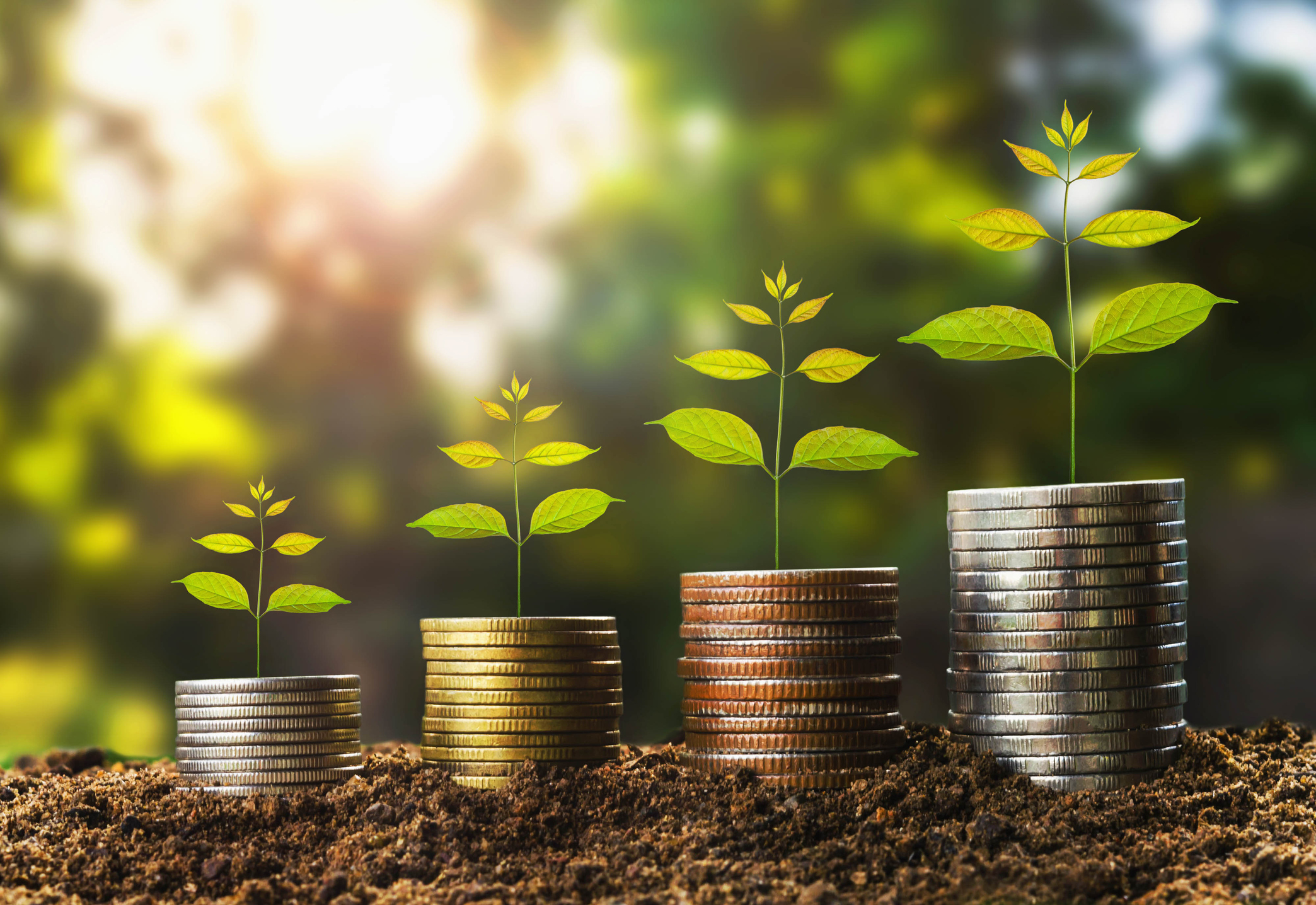 3 Stocks to Buy With Dividends Yielding More Than 4% | The Motley Fool
