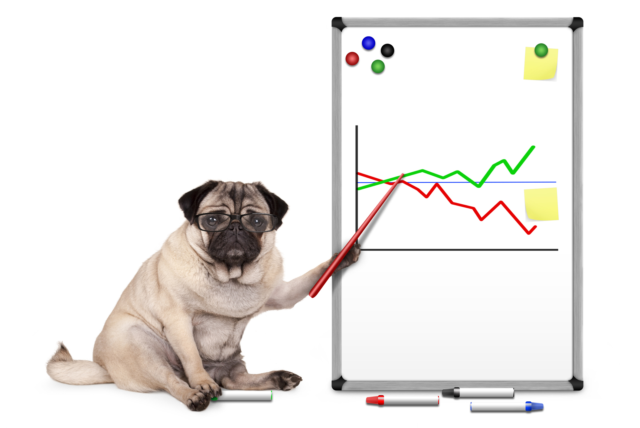 2 Charts Demonstrating DataDog's Immense Popularity | The Motley Fool