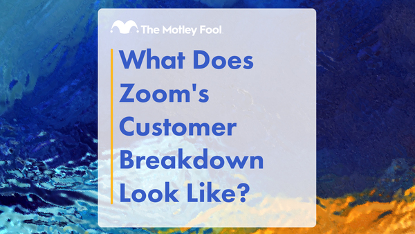 What Does Zoom's Customer Breakdown Look Like? | The Motley Fool