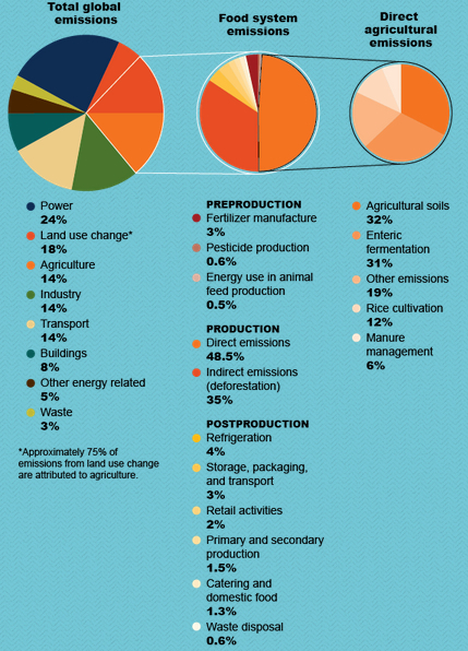 Food: The Key to Fixing Climate Change | The Motley Fool