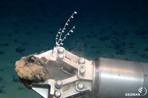 Isobel Asher Hamilton - Journalist Profile - Intelligent Relations