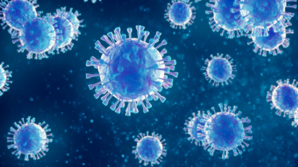Novavax Wins Fast-Track Designation for Flu Vaccine | The Motley Fool