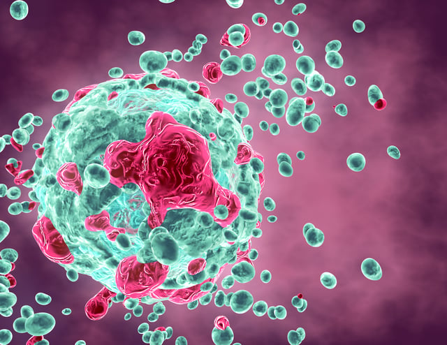 Sutro Biopharma - STRO - Stock Price & News | The Motley Fool