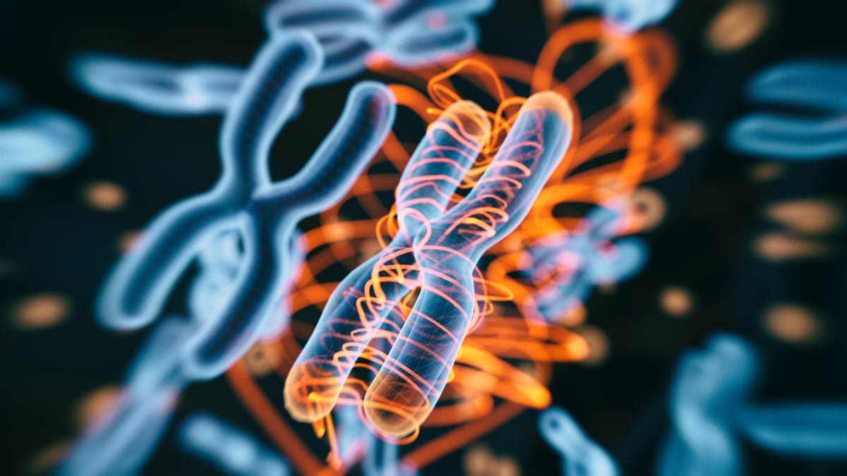 Your Guide to Investing in Gene Editing | The Motley Fool