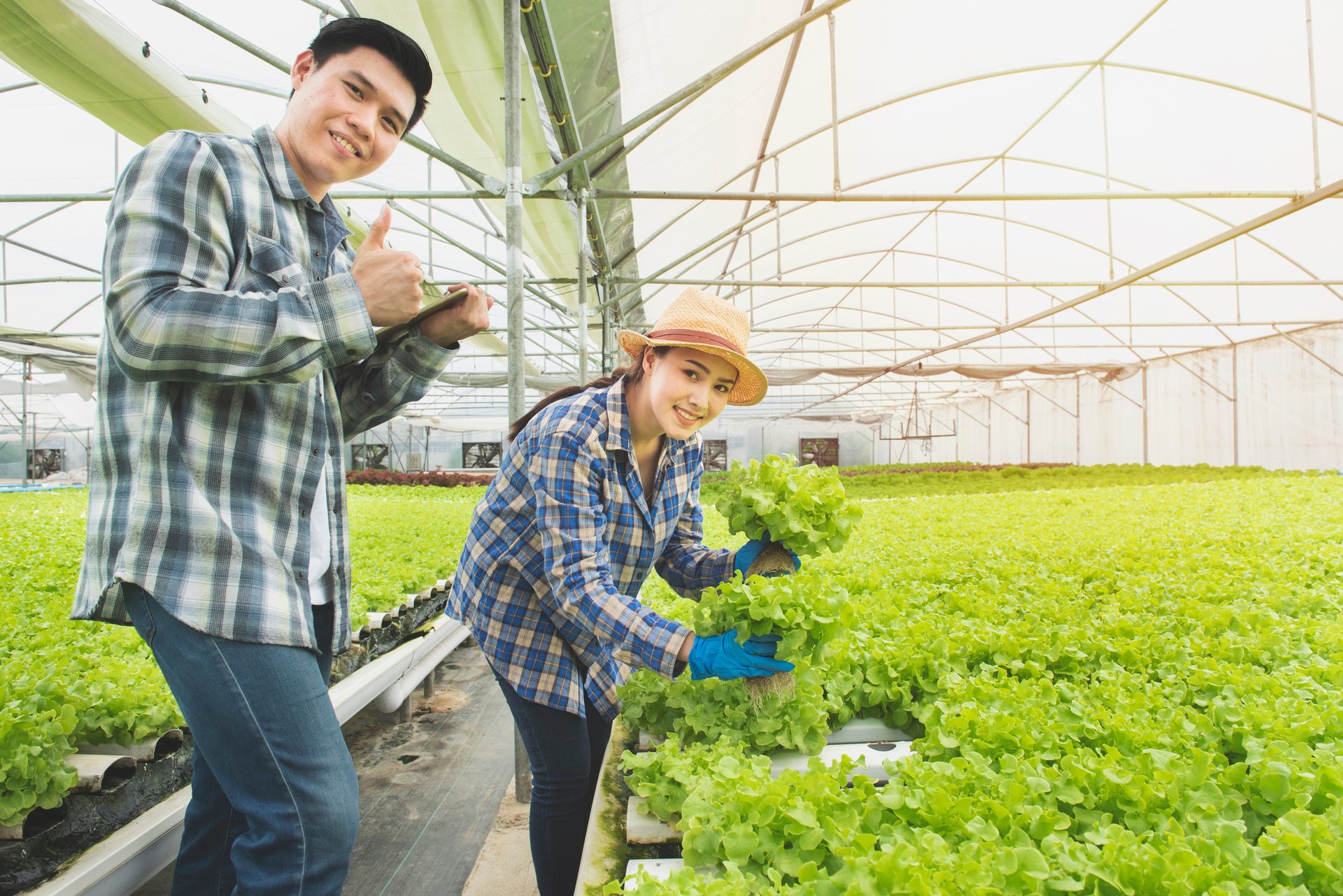 Verano - VRNOF - Stock Price & News | The Motley Fool