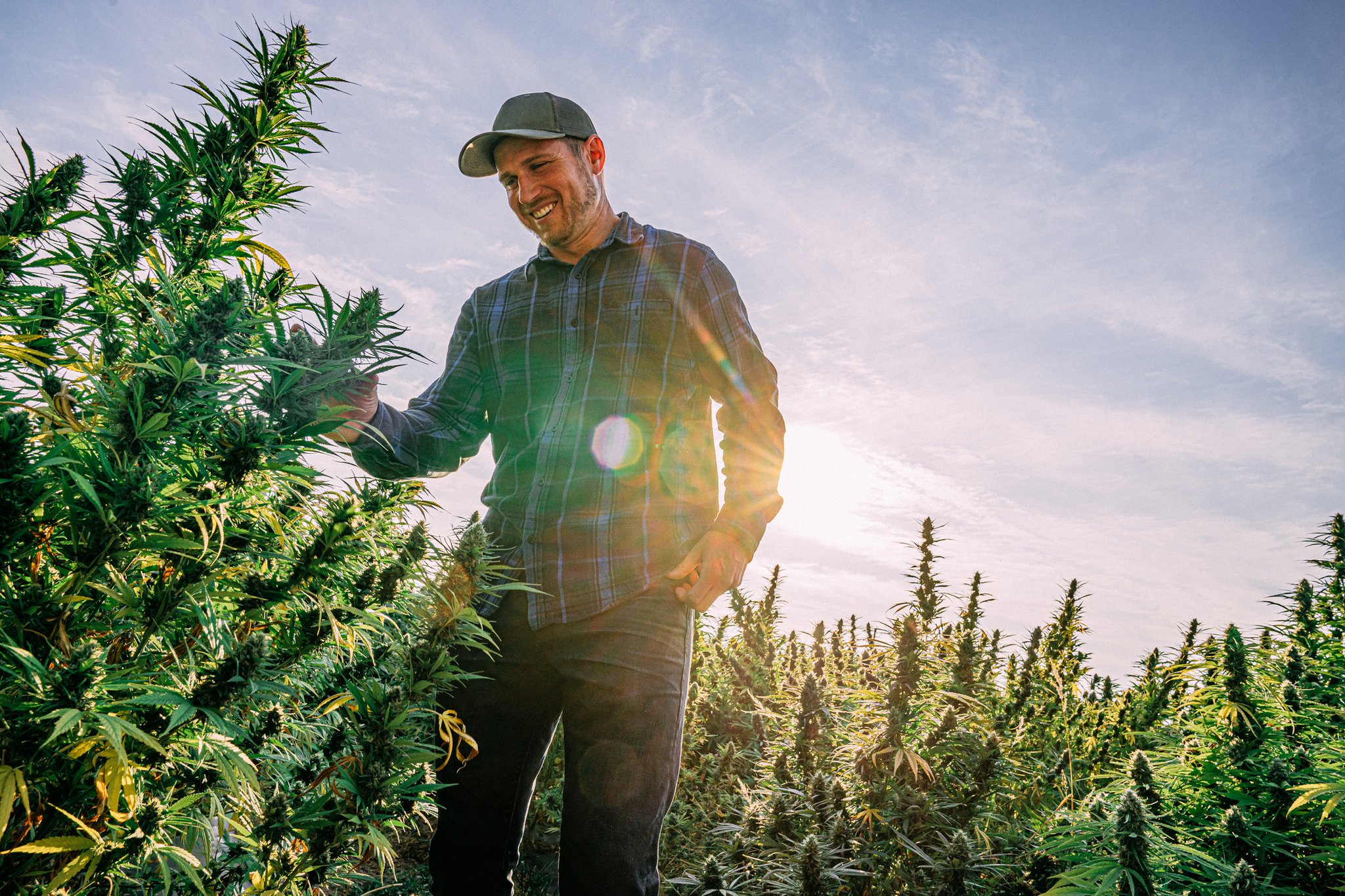 HEXO Corp. - HEXO - Stock Price & News | The Motley Fool