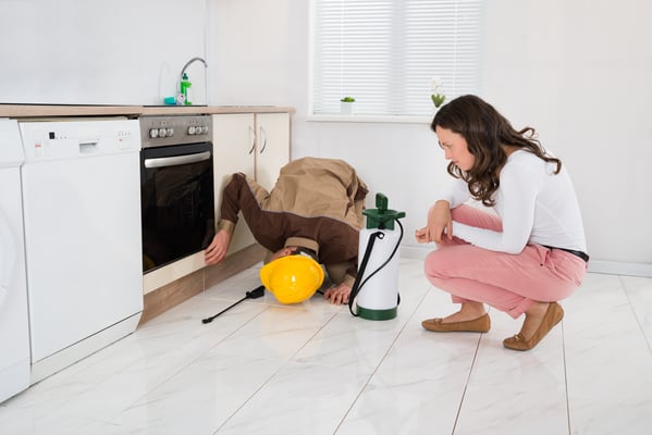 Battle of the Bugs: Which Pest Control Stock is Best? | The Motley Fool