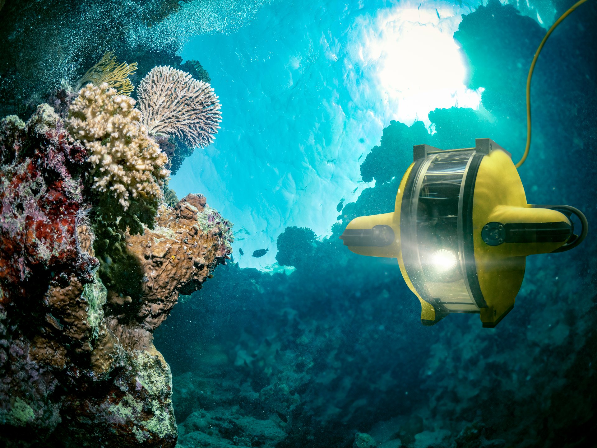 This Deep-Sea Mining Stock Has Soared 500% in 2025. Here's 1 Reason Why ...