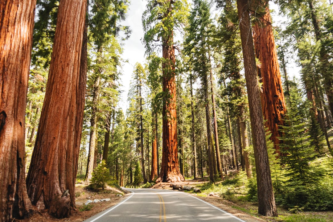 The Desert City That's Winning Over Retirees Who Don't Want a "Typical ...
