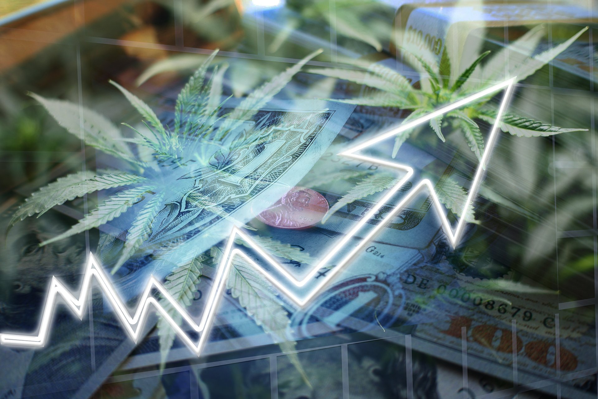 Why This Beaten-Down Cannabis Giant is a Table-Pounding Buy | The ...